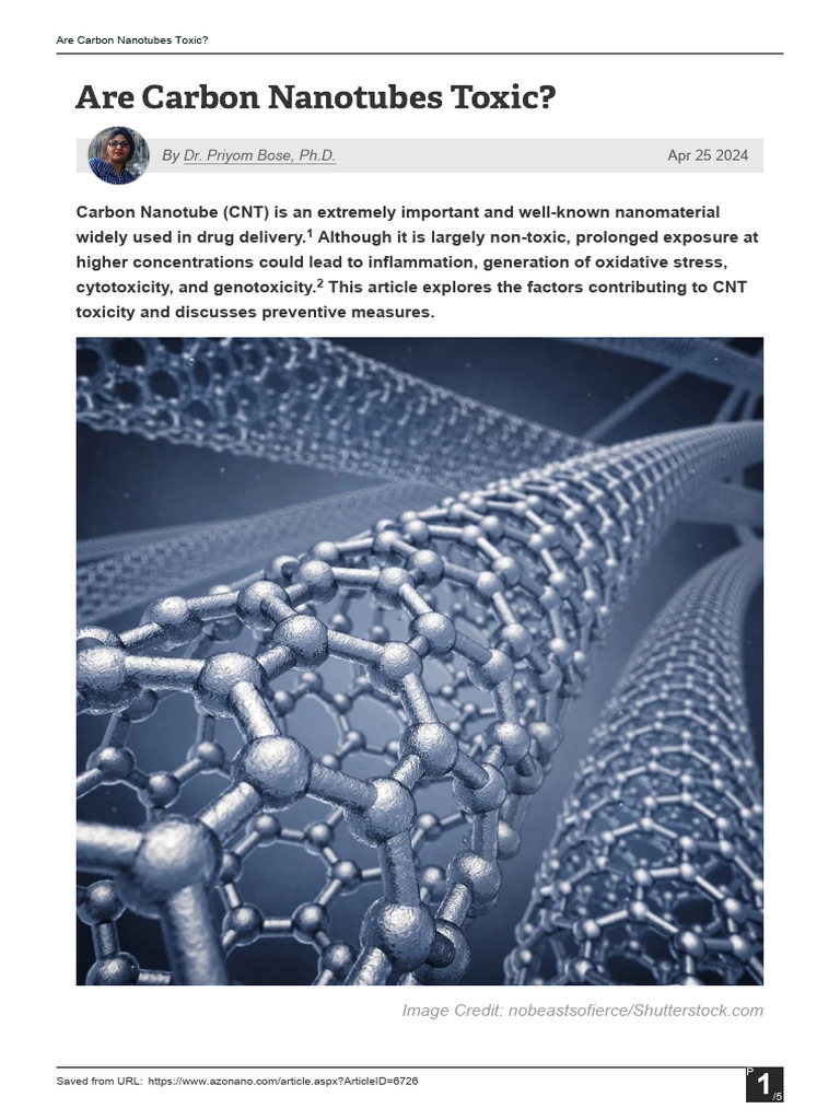 Are Carbon Nanotubes Toxic | PDF