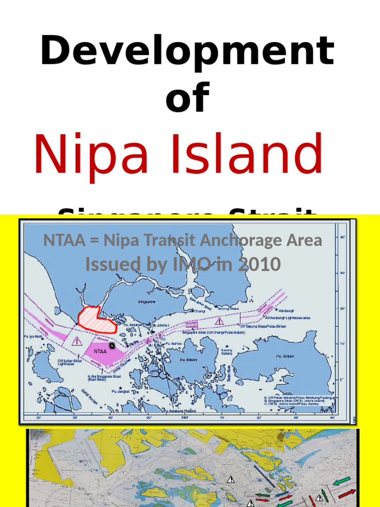 NIPA Singkat Fred Lonan | PDF