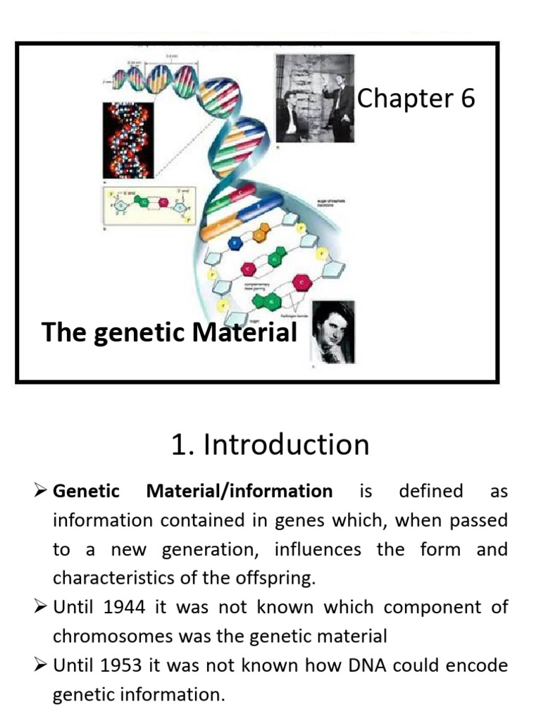 06 Genetic Materials Latest | PDF