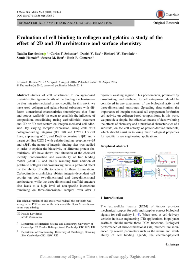 Evaluation of Cell Binding To Collagen and Gelatin | PDF