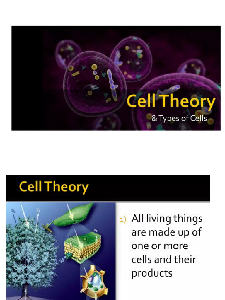Cell Theory | PDF