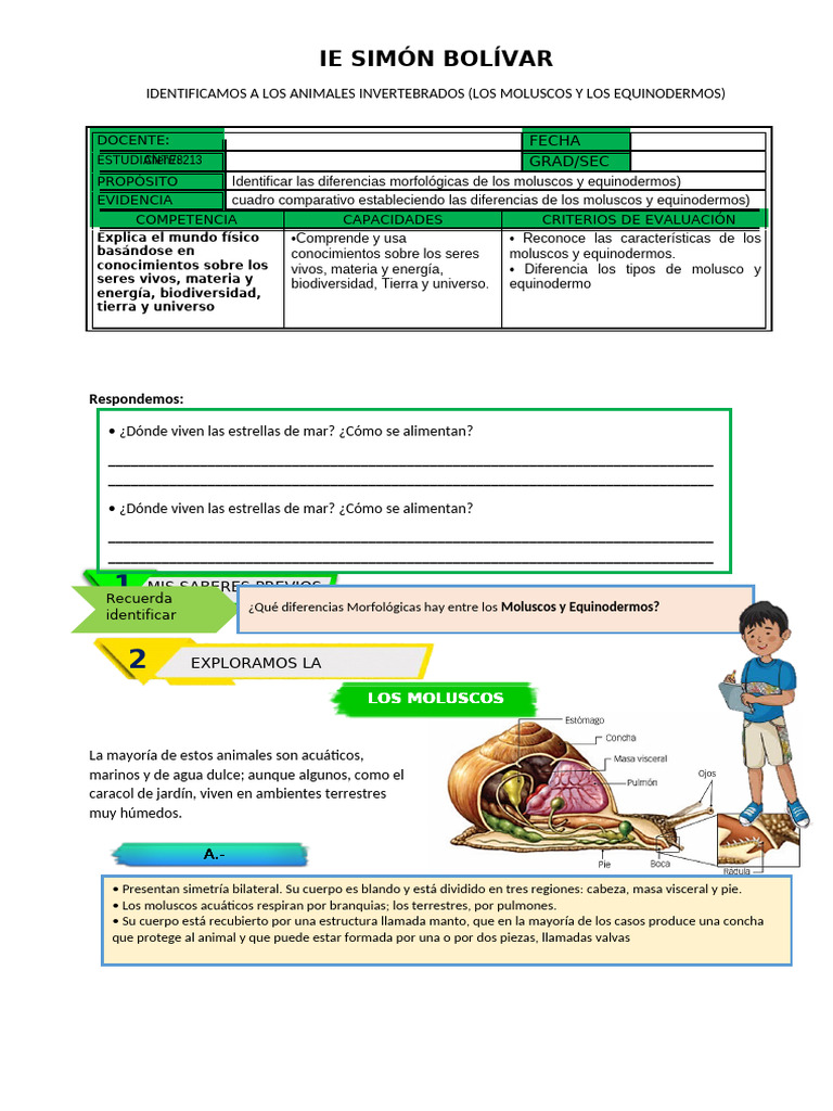 B-1º Act 3 Cyt Unid 4 - Sem 2 | PDF