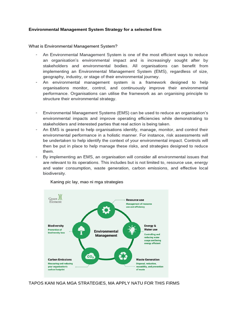 Report Outline Ems | PDF