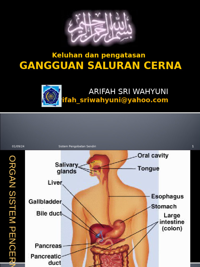 Gangguan Sal Cerna 1 I-10 | PDF