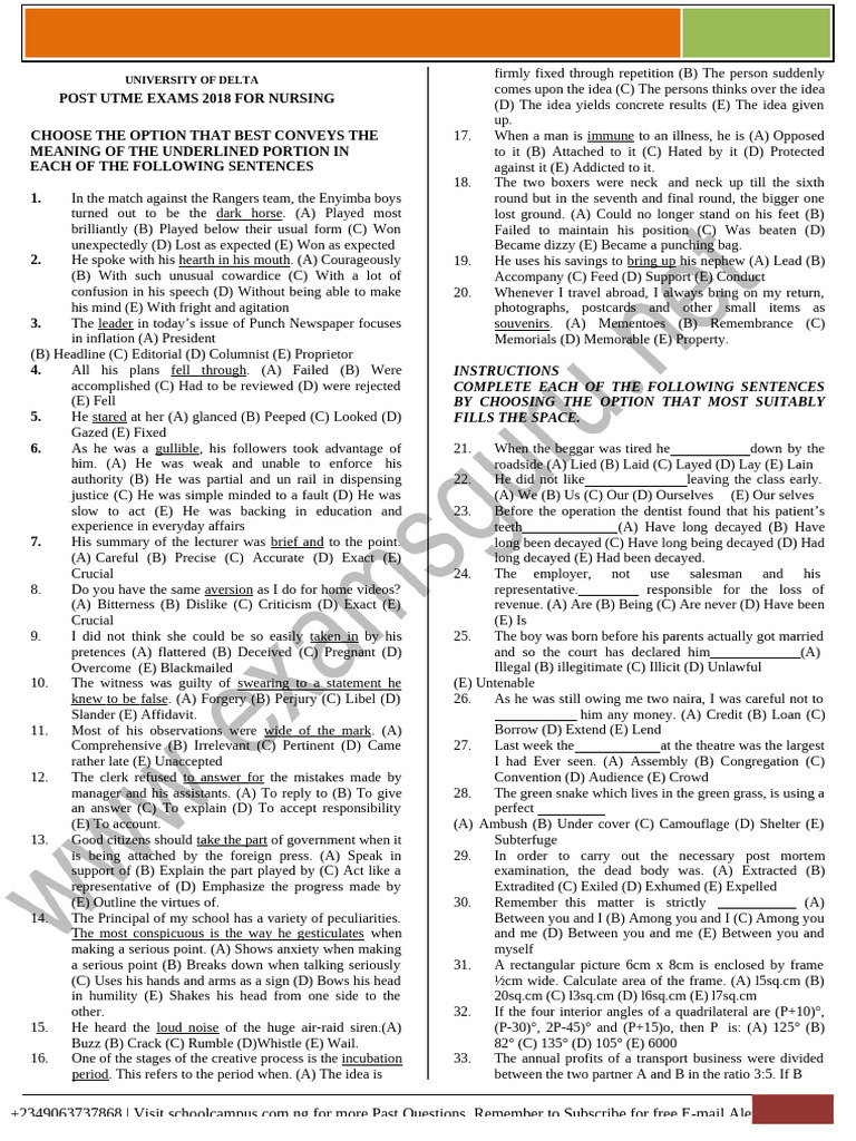 UNIDEL Nursing Past Questions Answers 2023 Updated Copy Schoolcampus ...
