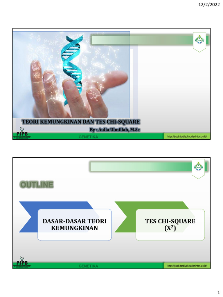 Teori Kemungkinan Dan Tes Chi Square | PDF