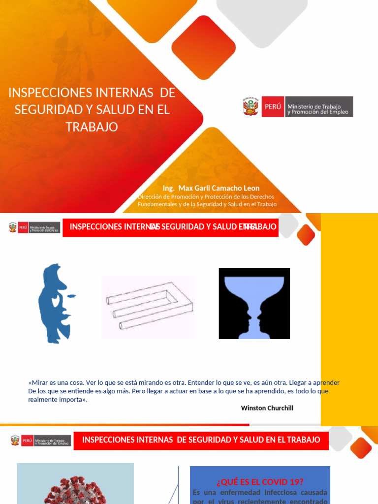 Inspecciones SST 2020 | PDF