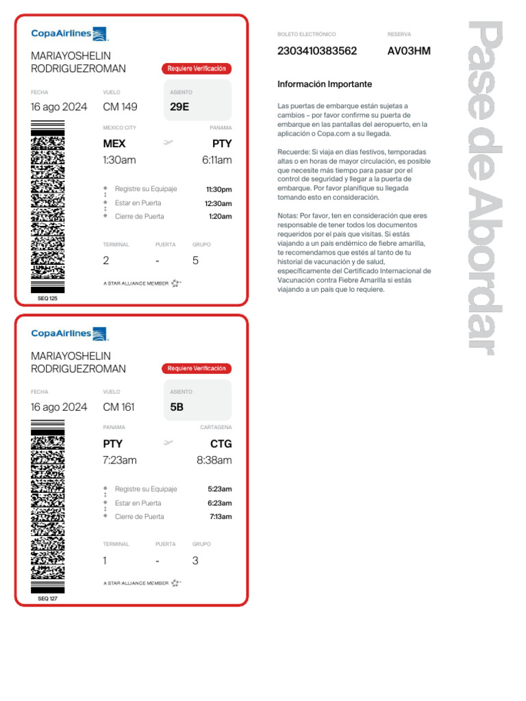Boardingpass 1 | PDF