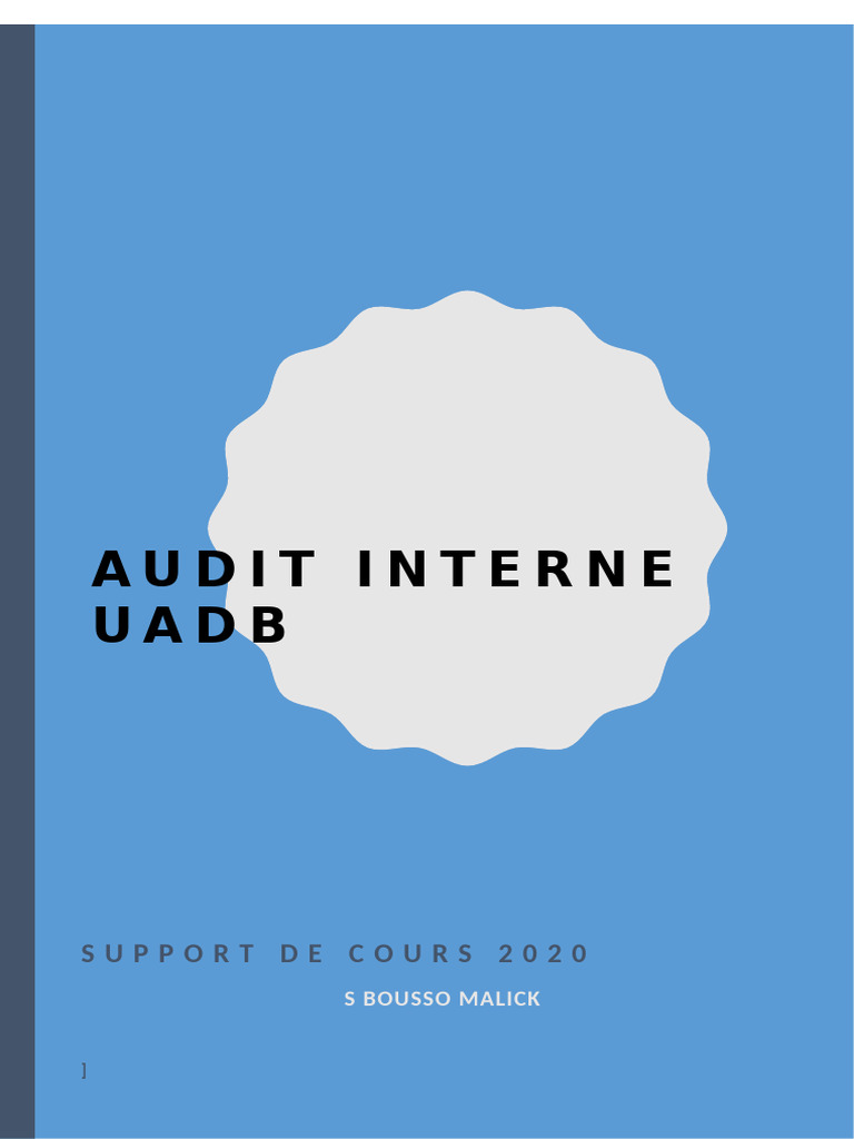 Audit Interne Set | PDF