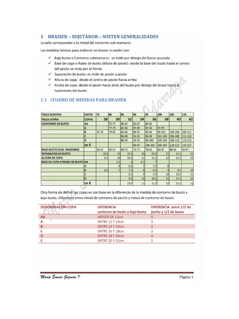 Brasier y Sus Variantes | PDF