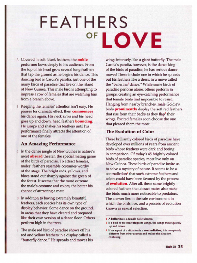 Unit 2 A Feathers of Love | PDF