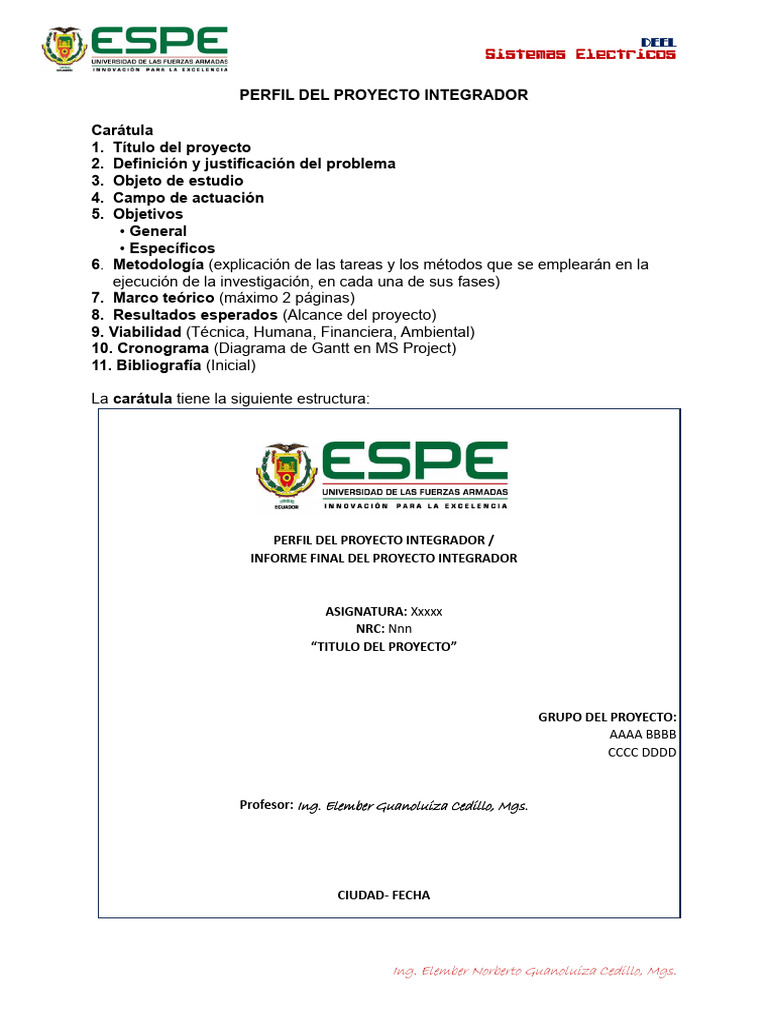 Perfil Del Proyecto | PDF
