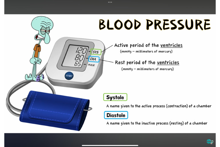 Measure of Heart Beats | PDF