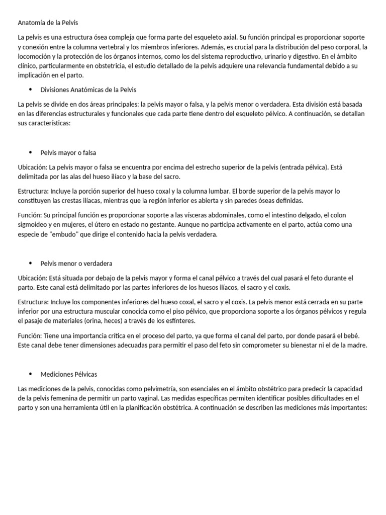 Anatomia De La Pelvis Pdf