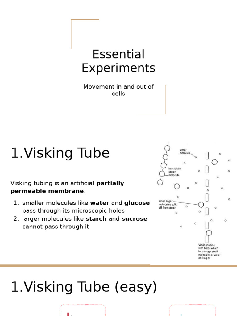 B2.2c Essential Experiments For Movement in and Out of Cells | PDF