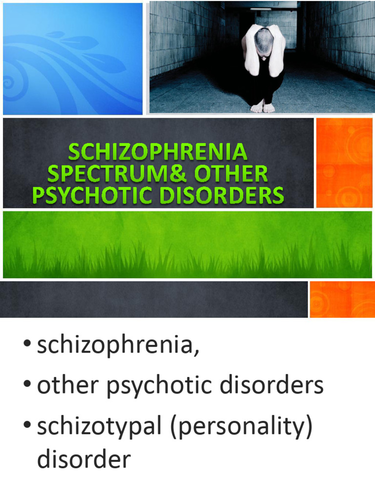 DSM V Schizophrenia Review Lecture Handout | PDF
