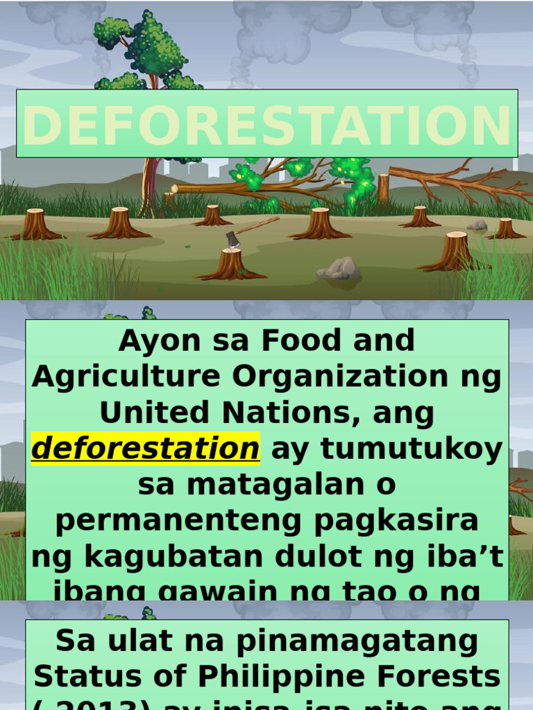 Deforestation | PDF