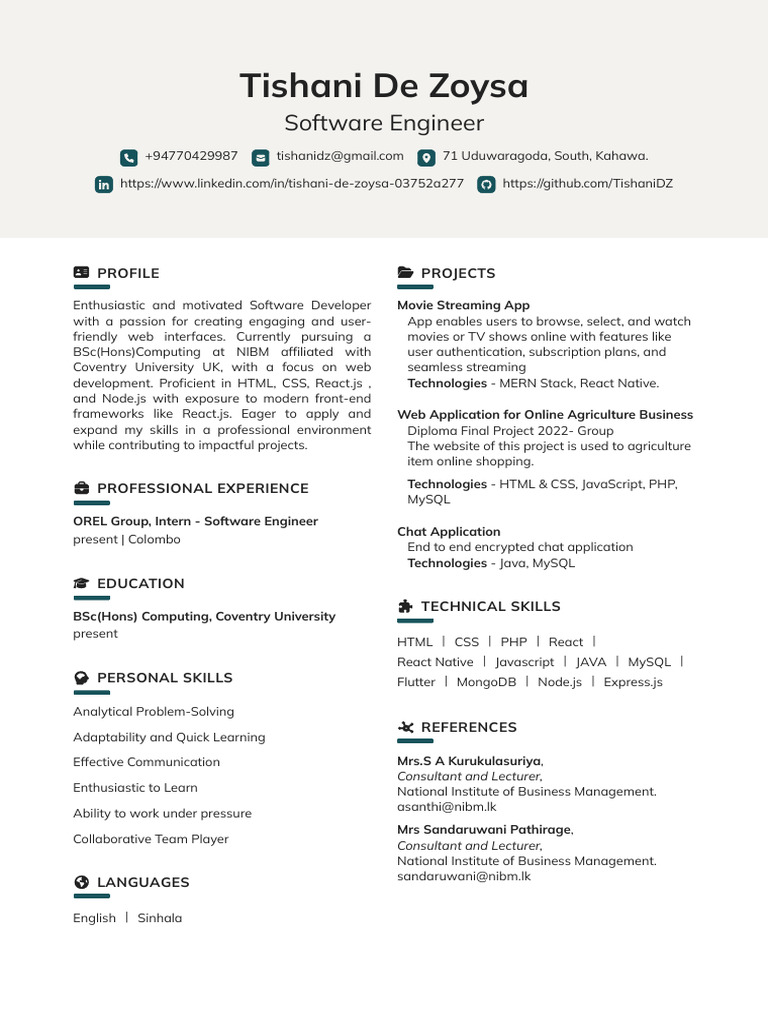 Software Engineer Pdf