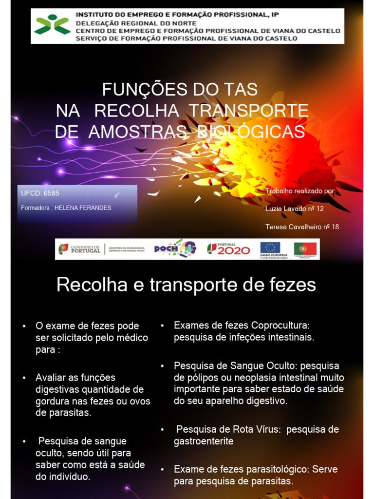 Powerpoint - Funções Do TAS | PDF