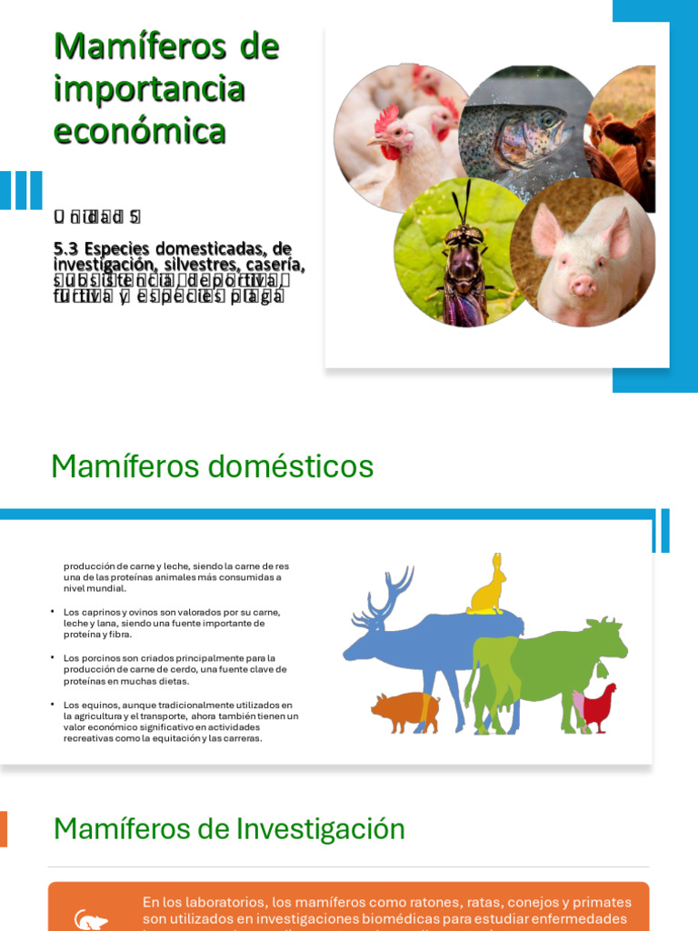 Mamíferos de Importancia Económica-1 | PDF