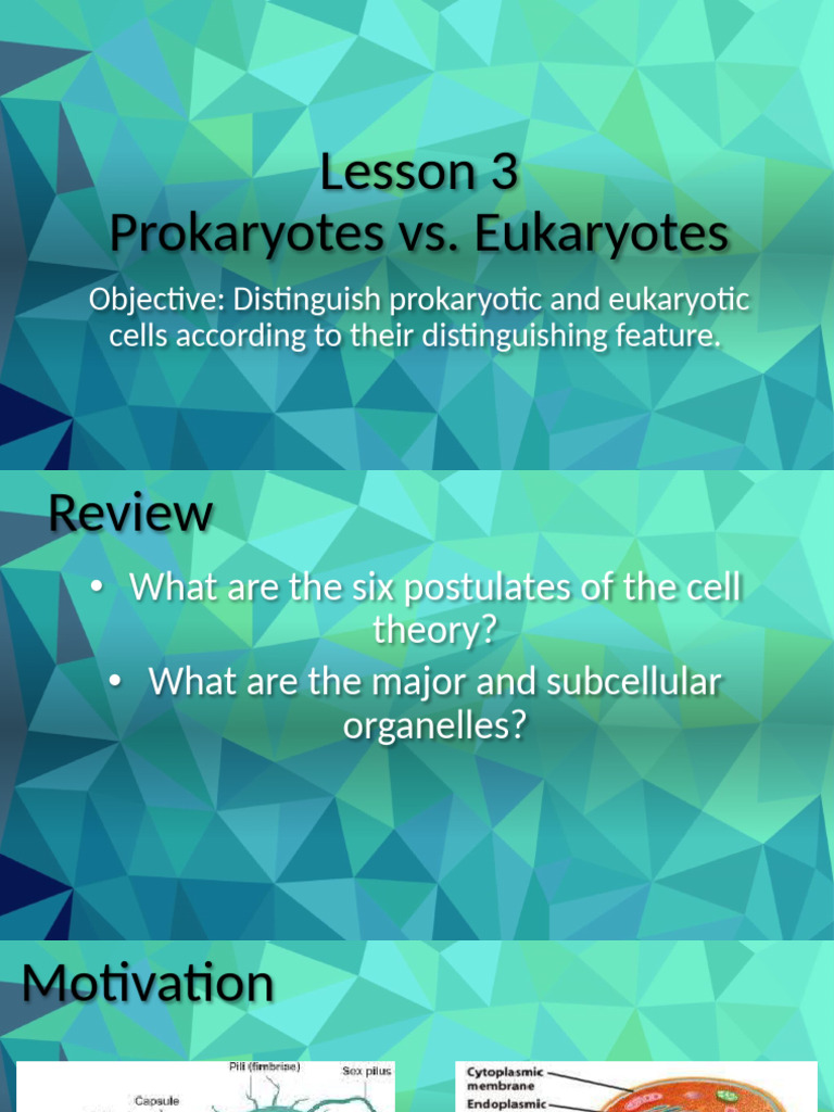 Lesson-3 Prokaryotes and Eukaryotes | PDF | Cell (Biology) | Prokaryote