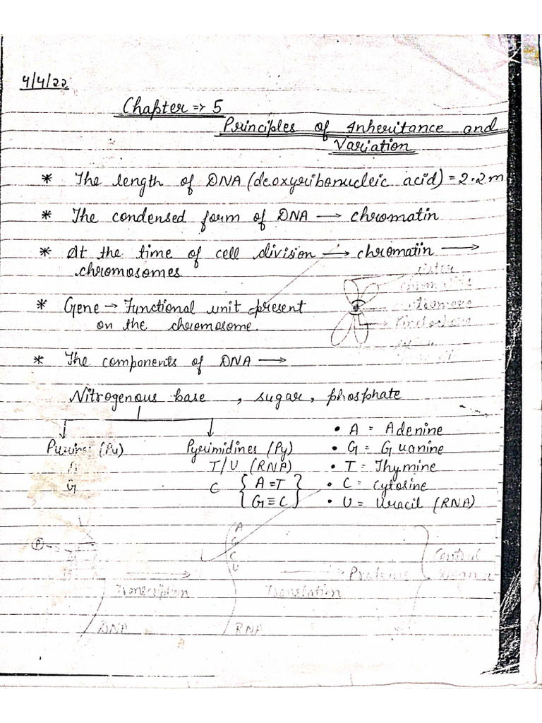 Principle of Inheritance and Variation | PDF