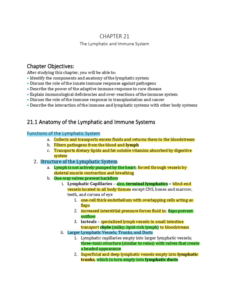 Lymphatic and Immune System Overview | PDF | Lymphatic System | Lymph Node