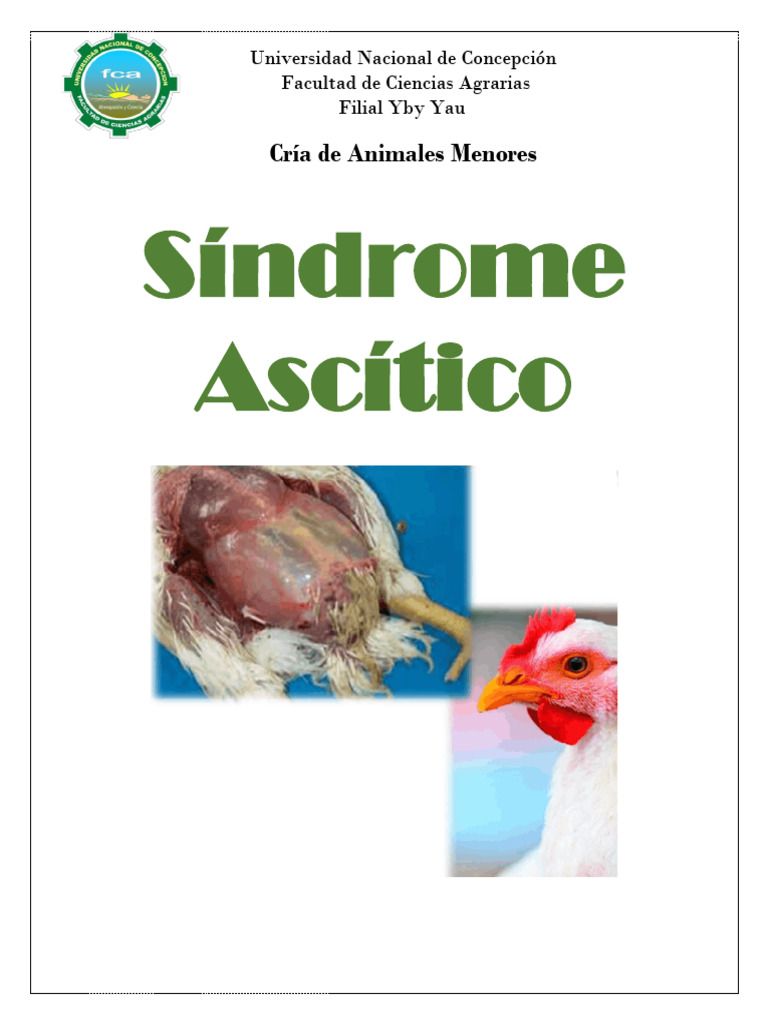 Sindrome Ascitico | PDF | Edema | Corazón