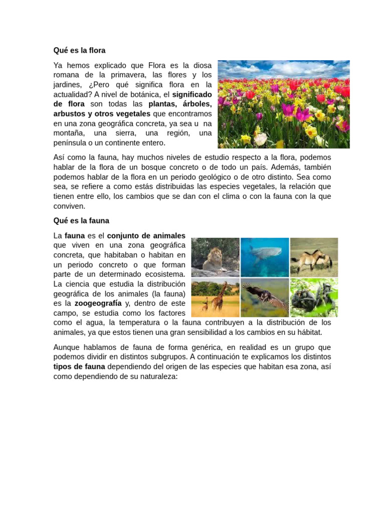 Qué Es La Flora | PDF