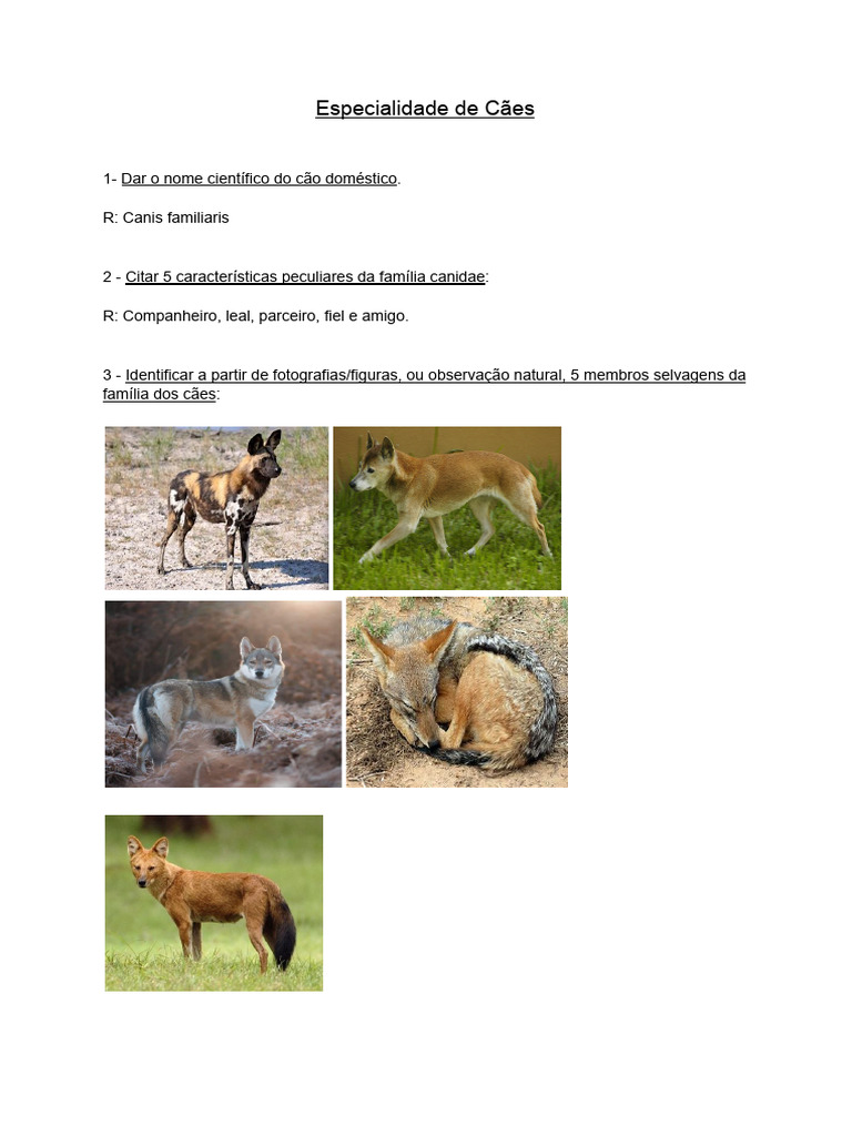 Especialidade de Cães | PDF