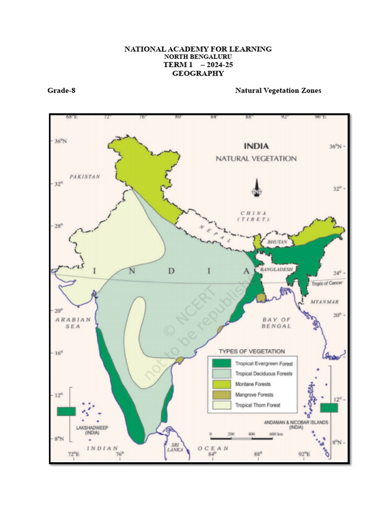 Grade 8 Geography: Natural Vegetation Zones | PDF