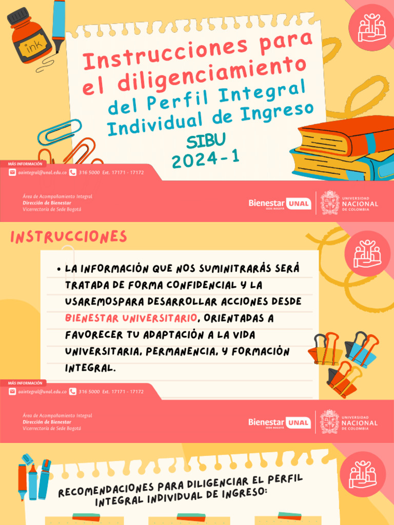 Instructivo Perfil Integral Individual de Ingreso 2024 - 1 | PDF