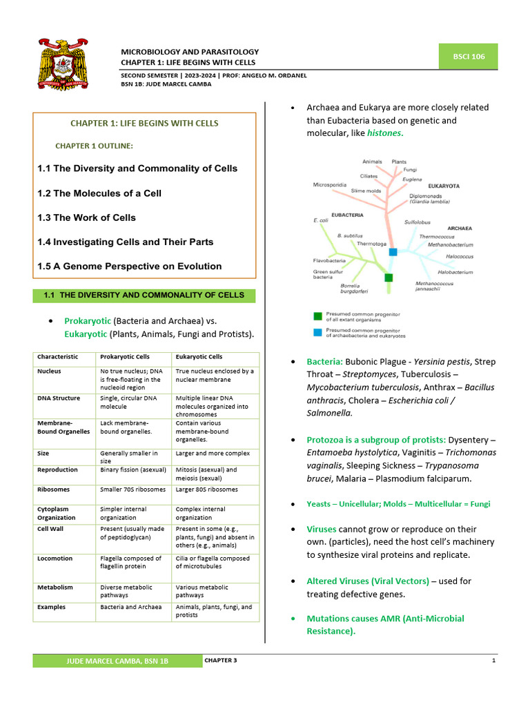 Transes Sample 1 | PDF