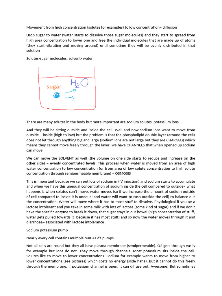 Movement From High Concentration | PDF