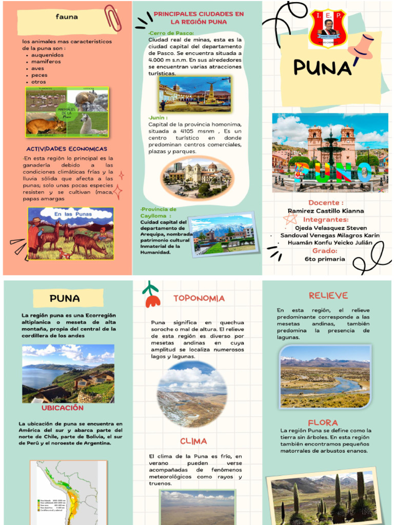 ..Triptico Puna | PDF