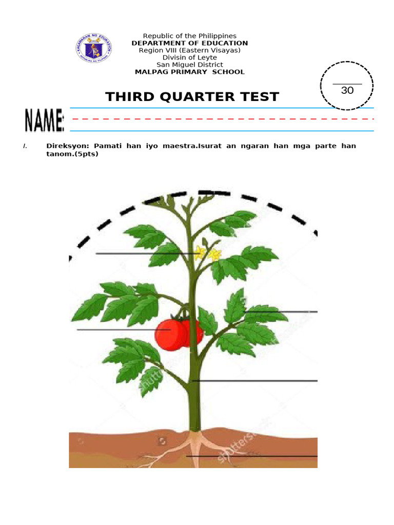 THIRD QUARTER EXAM (Kindergarten) | PDF