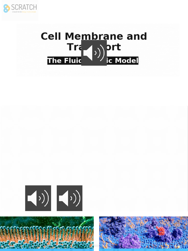 Presentation2 RAW | PDF