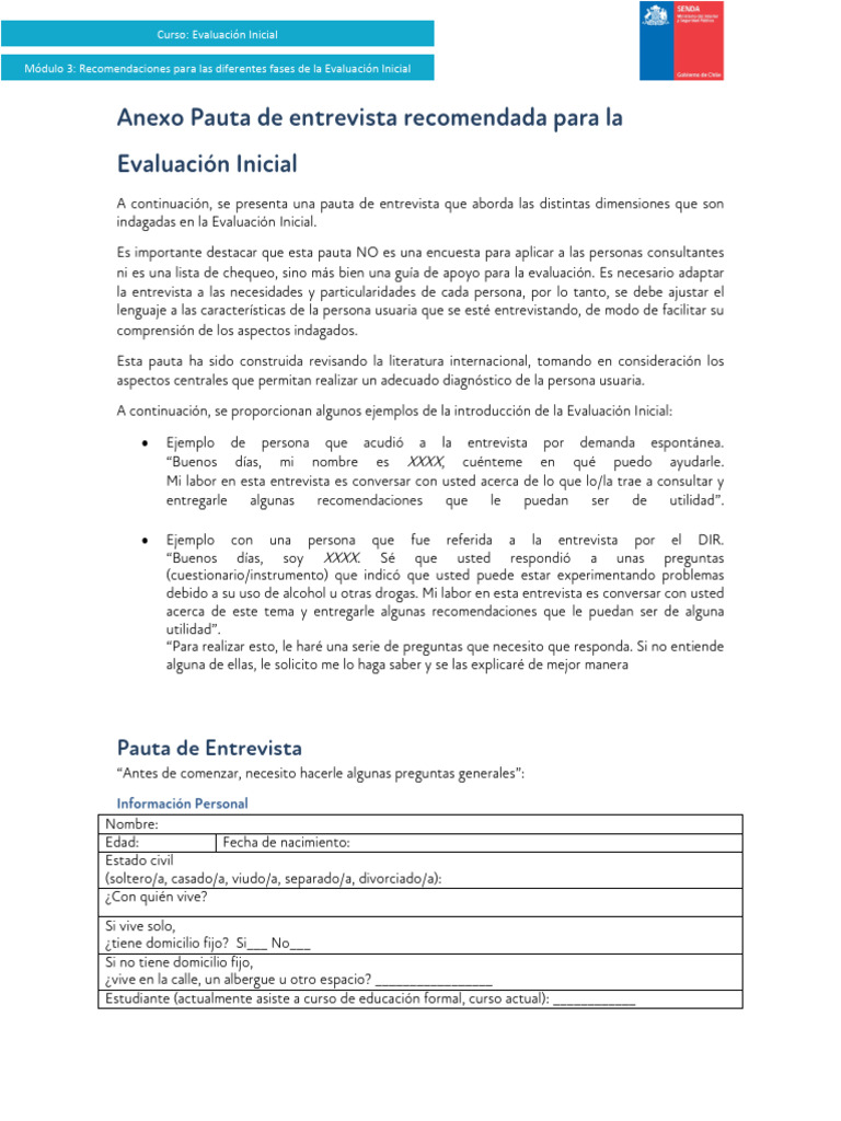 Pauta de Entrevista | PDF