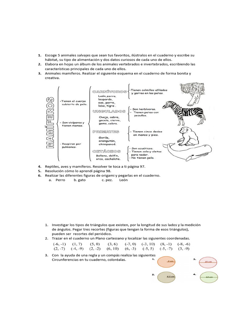 Actividades de Apoyo Segunda Unidad Sexto 2 | PDF