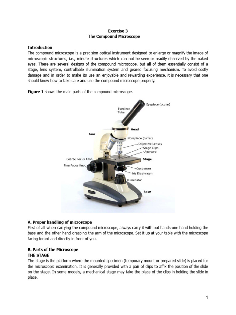 Exercise 3 - The Compound Microscope | PDF