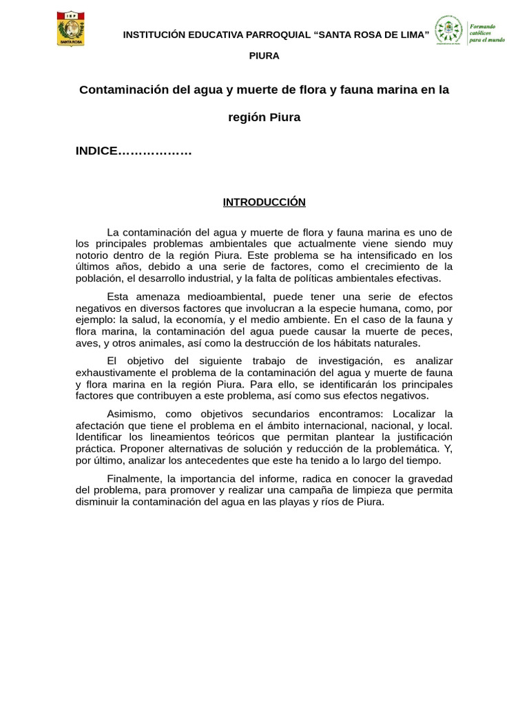 Modelo Proyecto | PDF | Agua | La contaminación del agua