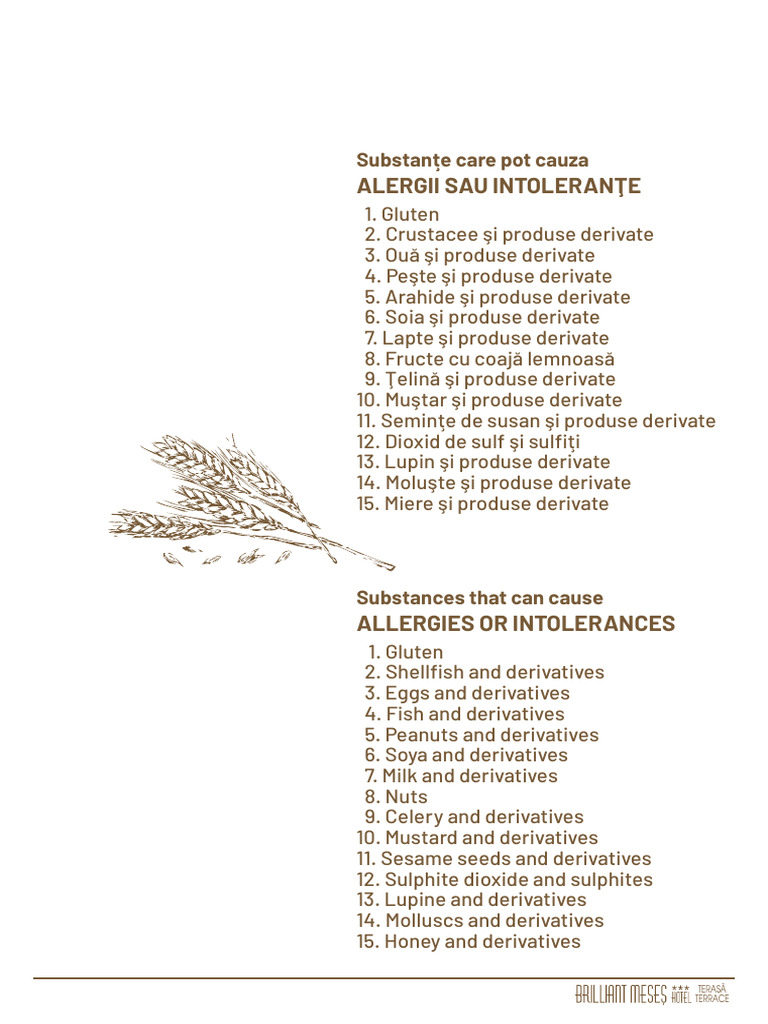 Meniu Restaurant 2024 | PDF