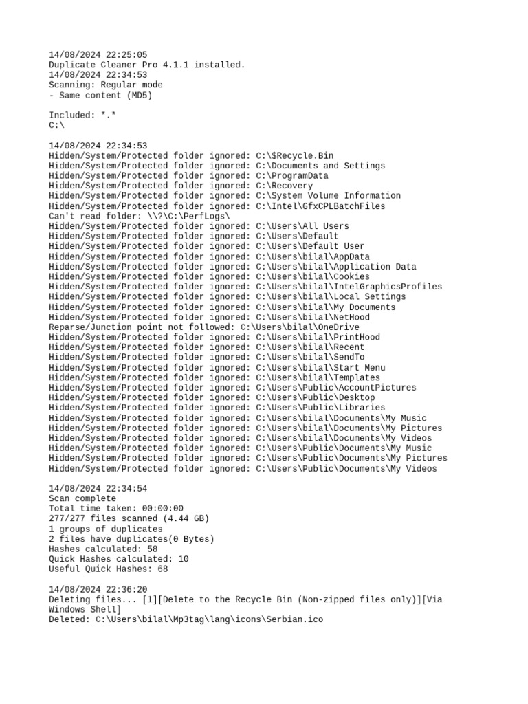 Duplicate Cleaner Log | PDF