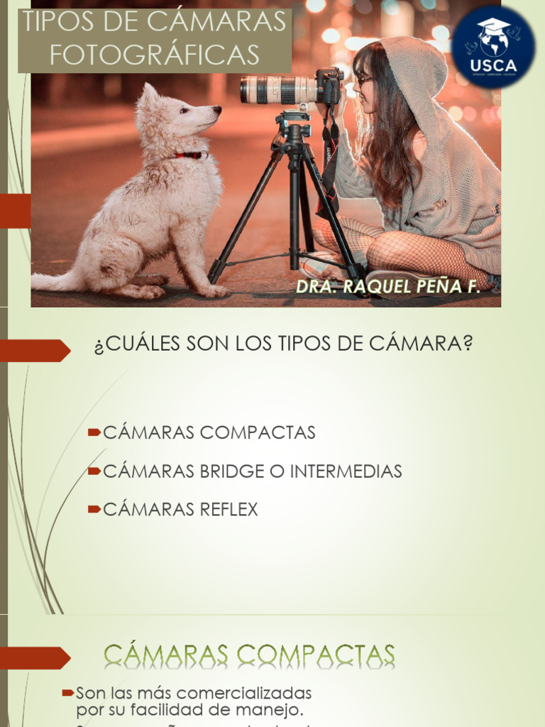 Tipos de Cámaras | PDF