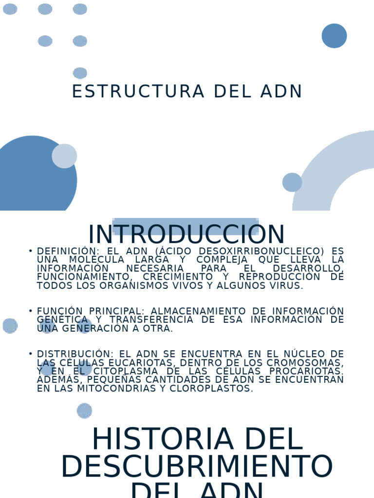 Tarea de La Presentacion Del Adn | PDF