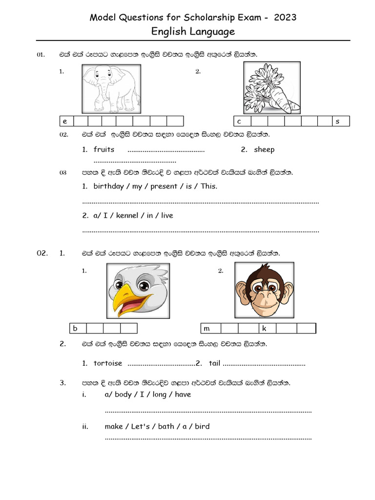 Grade 5 Scholarship Exam Model Questions 2024 | PDF