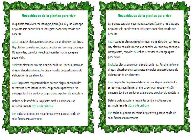Ficha Que Necesitan Las Plantas | PDF