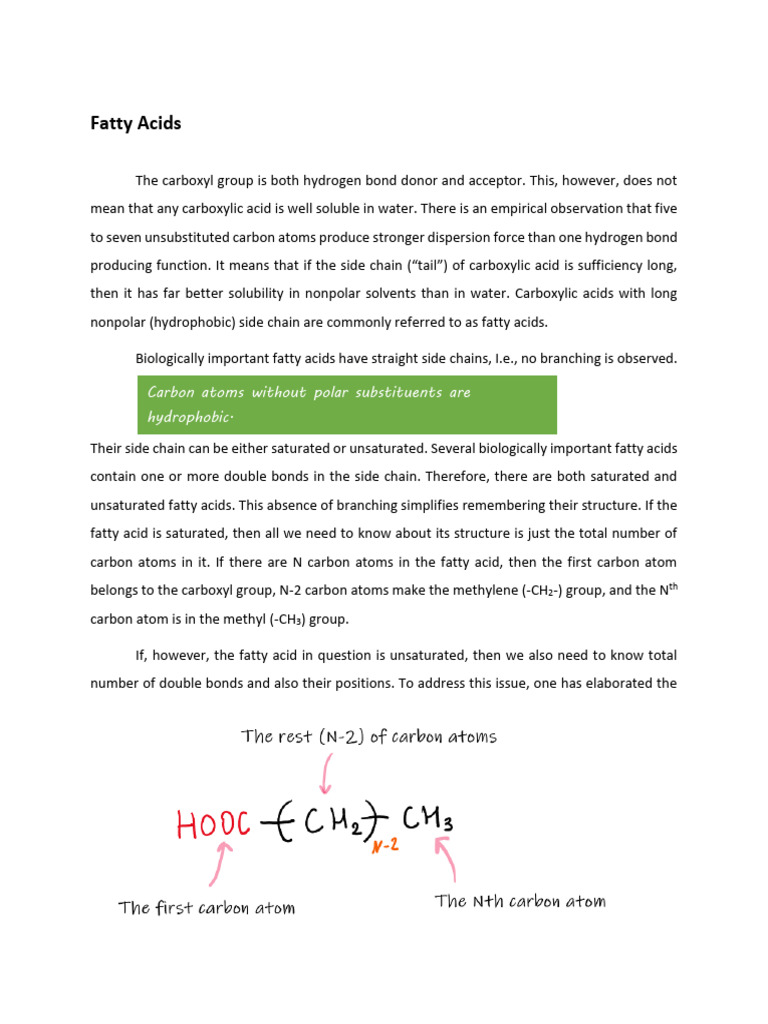 Fatty Acids | PDF