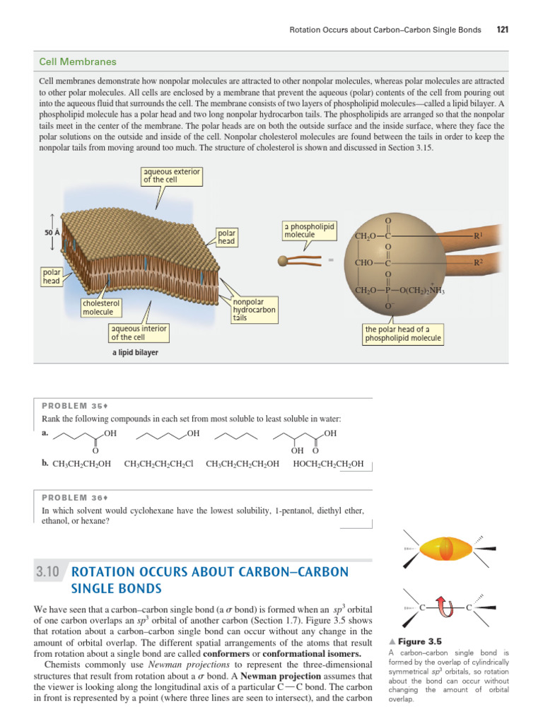Conformers - Chapter 3 - Organic Chemistry - Paula Bruice | PDF