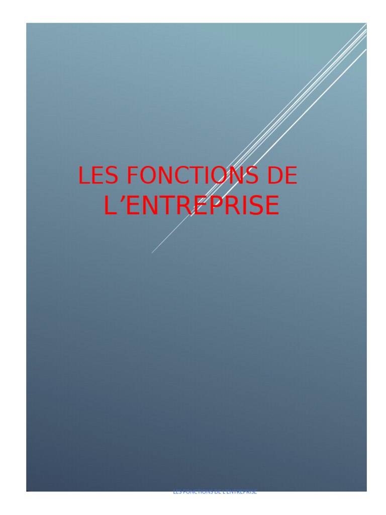 Chapitre 6 Les Fonctions de L'entreprise | PDF